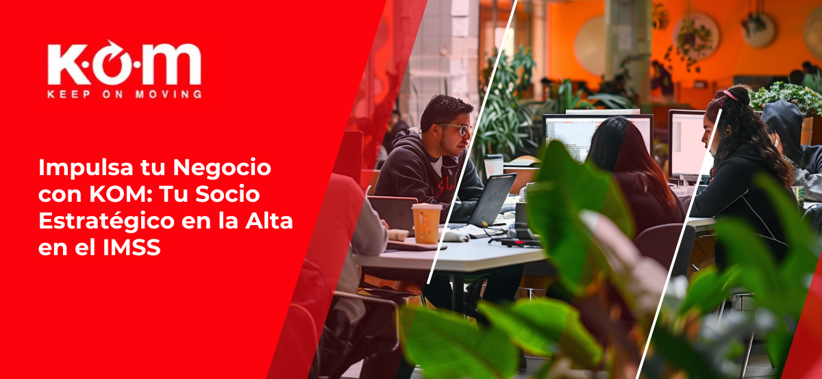 PRINCIPALES ACTIVIDADES ECONÓMICAS DE MÉXICO - KOM